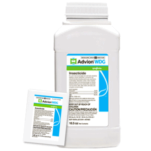 How to treat Little Fire Ants around your home - Hawaii Ant Lab