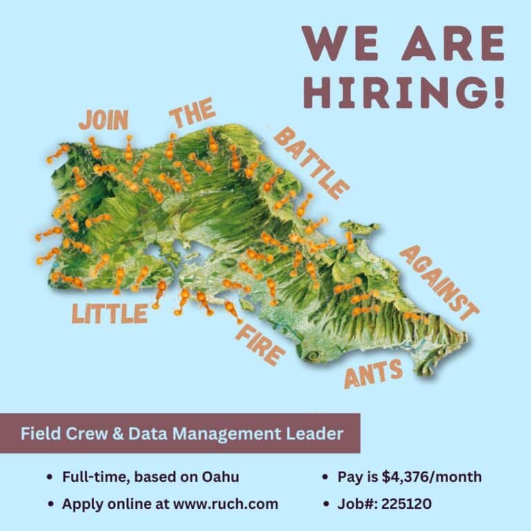 Little Fire Ants | Hawaii Ant Lab - Hawaii Ant Lab