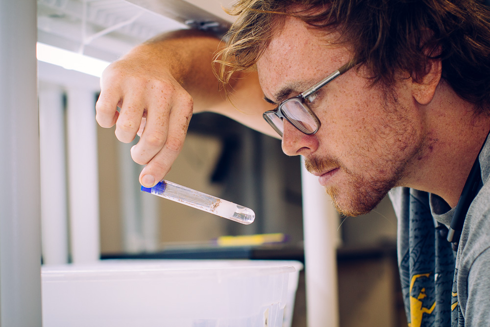 Research Updates - Hawaii Ant Lab