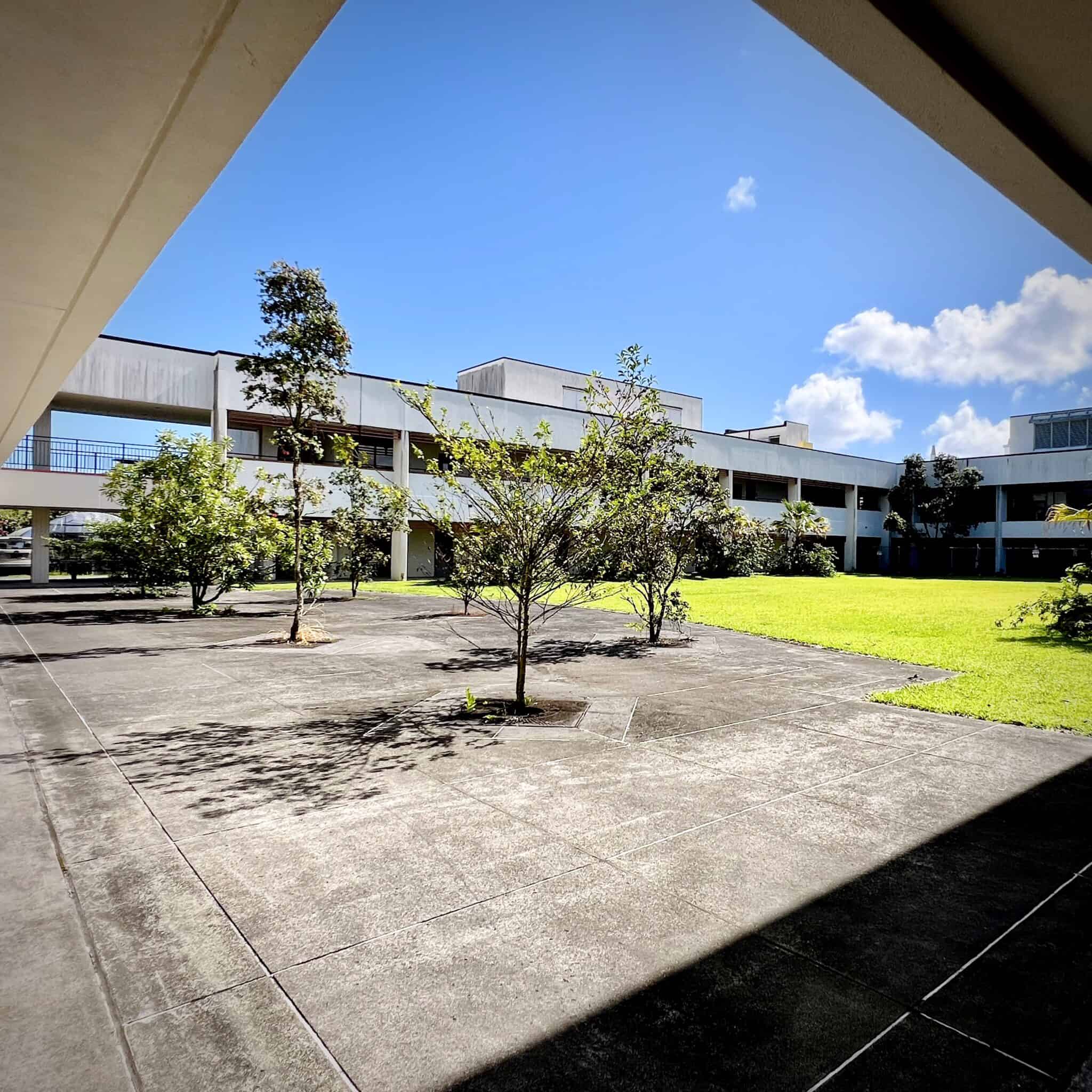 Little Fire Ants | Hawaii Ant Lab - Hawaii Ant Lab