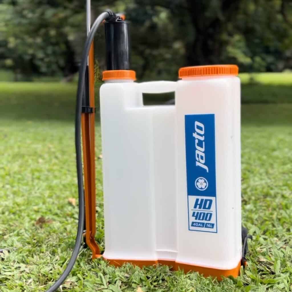 Little Fire Ants | Hawaii Ant Lab - Hawaii Ant Lab